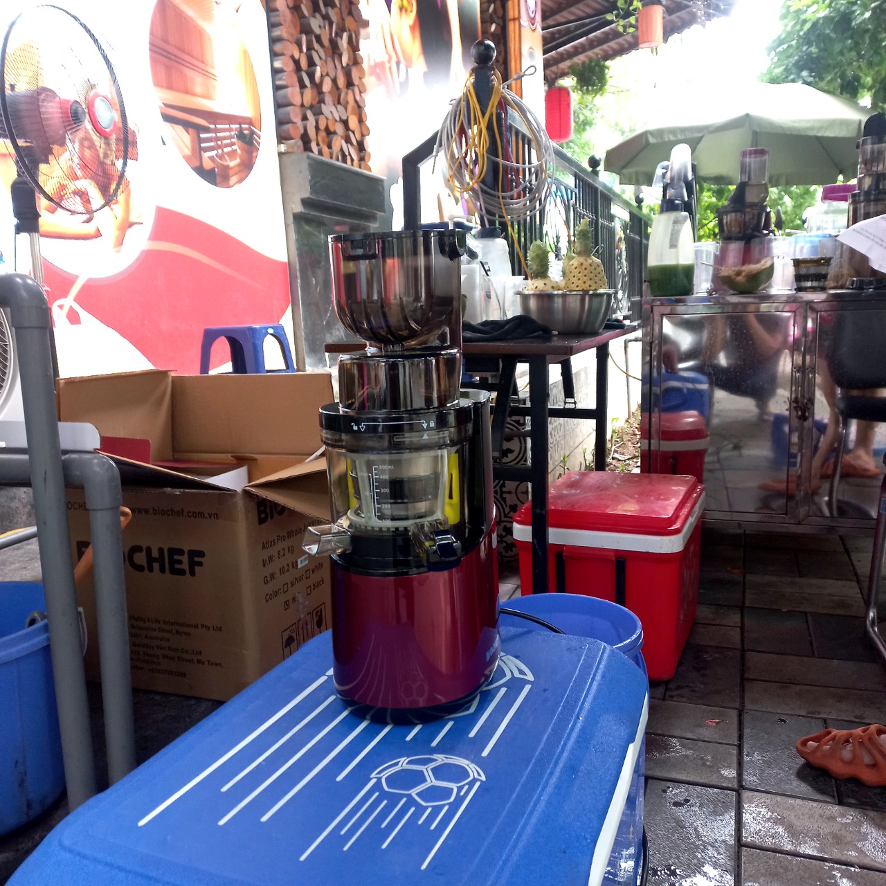 Máy ép trái cây Biochef 666 tốc độ thấp, nhập khẩu Australia